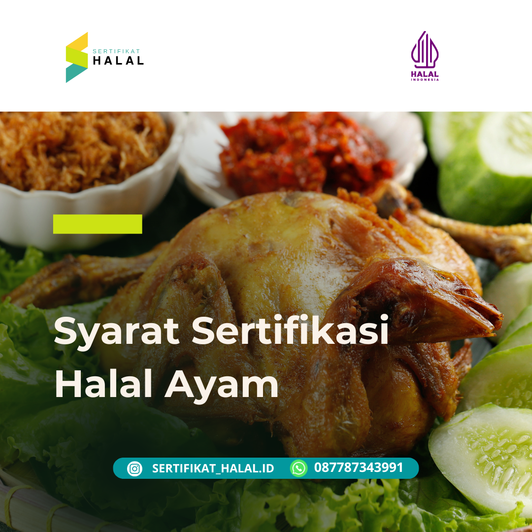 cek halal indonesia - PT SERTIFIKAT HALAL INDONESIA