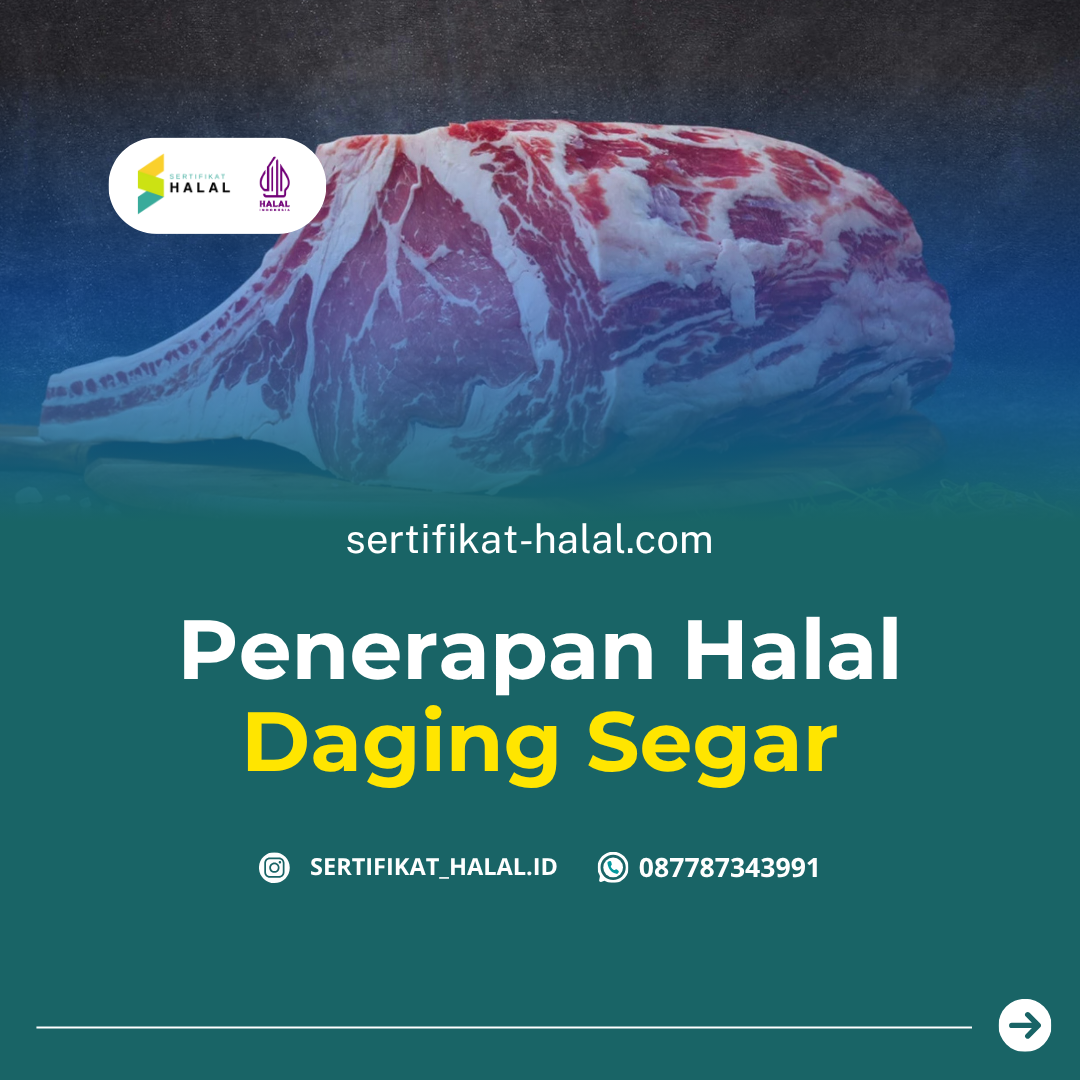 jasa pengurusan sertifikat halal daging impor - PT SERTIFIKAT HALAL ...